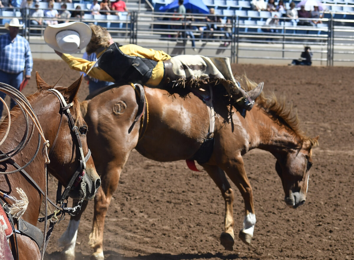 Sanpete athletes compete at the 2024 state high school rodeo finals ...